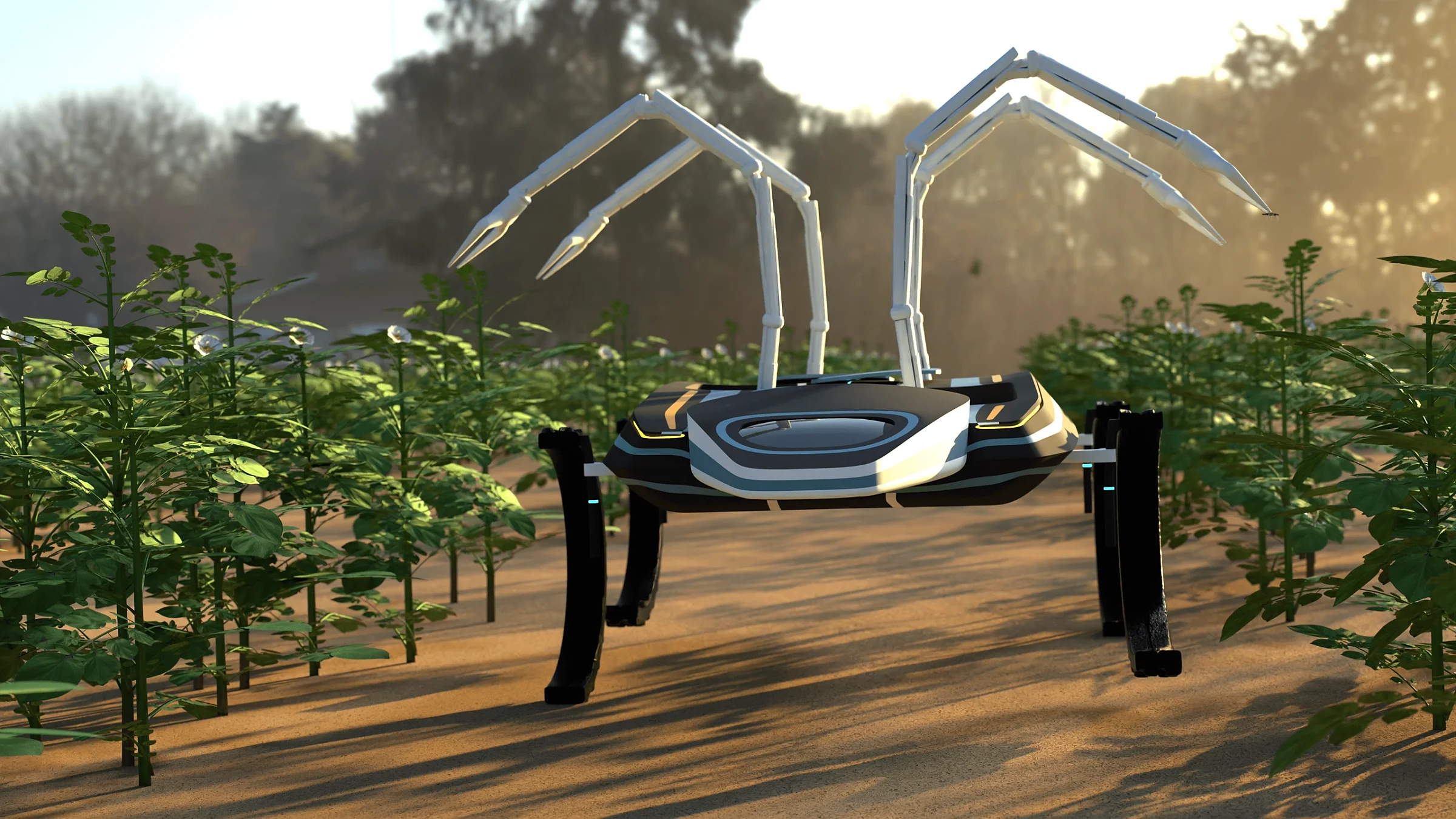 MOME | This year’s shortlist for the MOME Jump into the Future! Competition