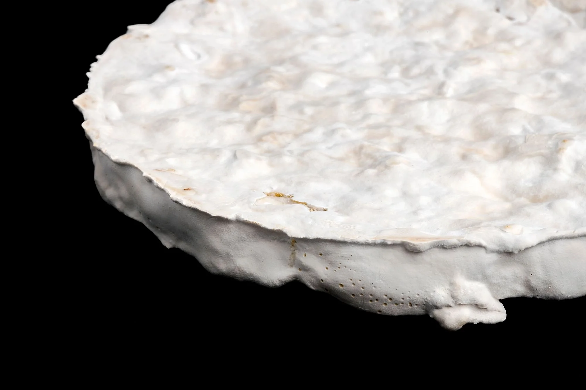 MOME | Mycelium Applications in Packaging